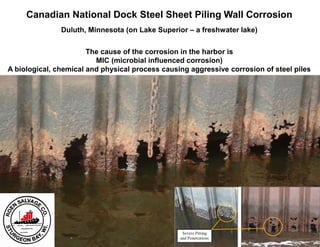 Roen Salvage Company In situ Repair of Submerged Steel Sheet Pile Walls ...