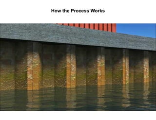 Roen Salvage Company In situ Repair of Submerged Steel Sheet Pile Walls ...
