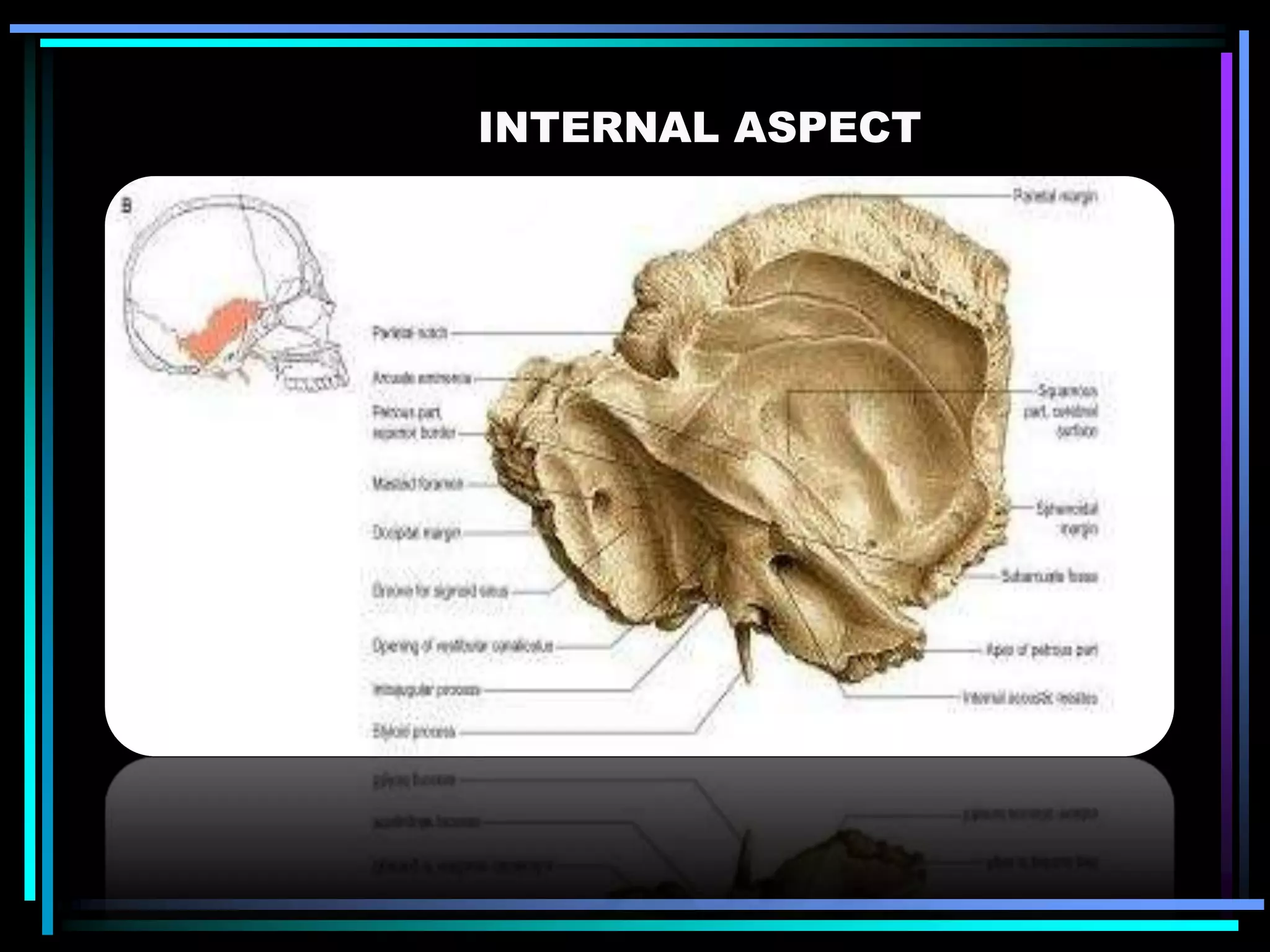 Roentgenology of skull | PPTX
