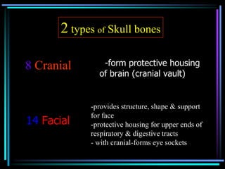 Roentgenology of skull | PPTX
