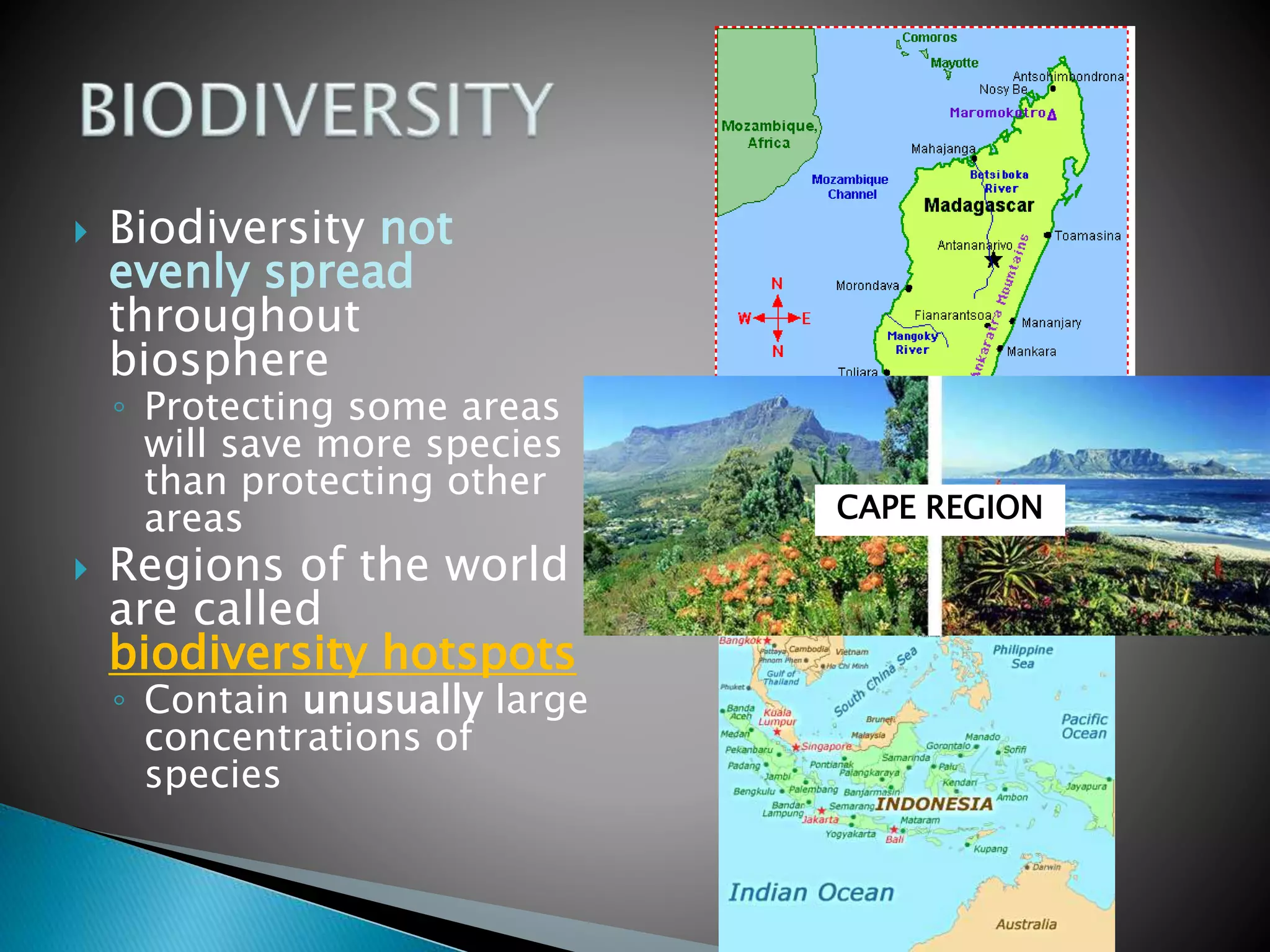 Unit 11 biodiversity and classification | PPTX