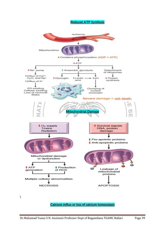 Roganidana-1st- Pathology-Short note.pdf | Free Download Roganidana-1st- Pathology-Short note.pdf | Free Download