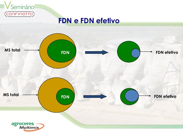 Seminário confinatto 2014 - Rogerio Coan