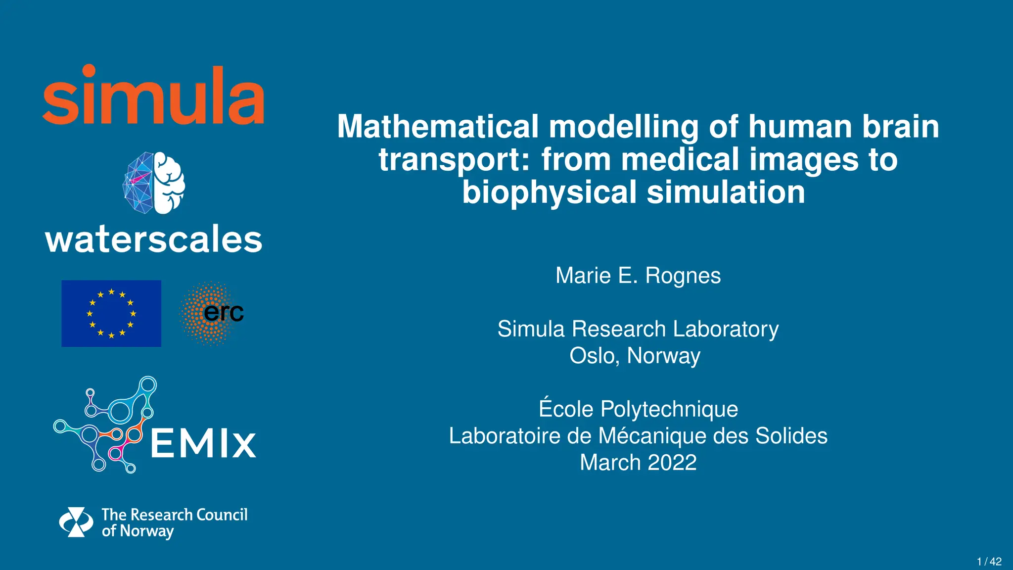 Mathematical modelling of human brain transport: from medical images to ...