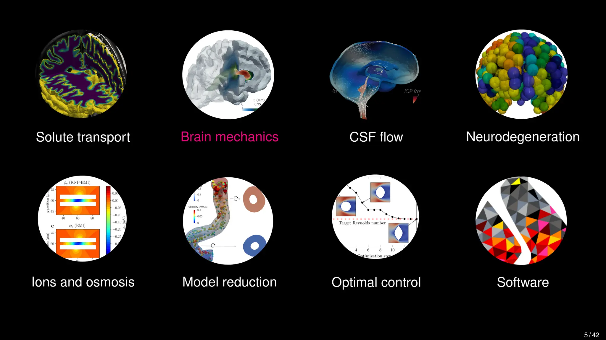 Mathematical modelling of human brain transport: from medical images to ...