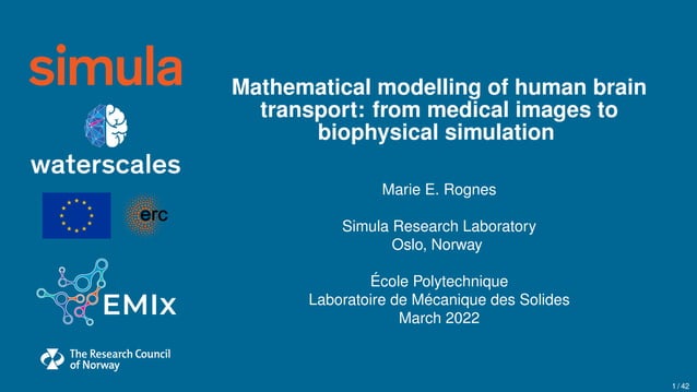 Mathematical modelling of human brain transport: from medical images to ...