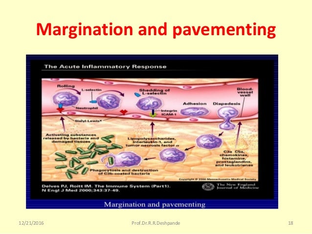 Rog Nidan Basic Pathology –Part 2