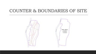 site analysis for the contour site in dewal sharef | PPT