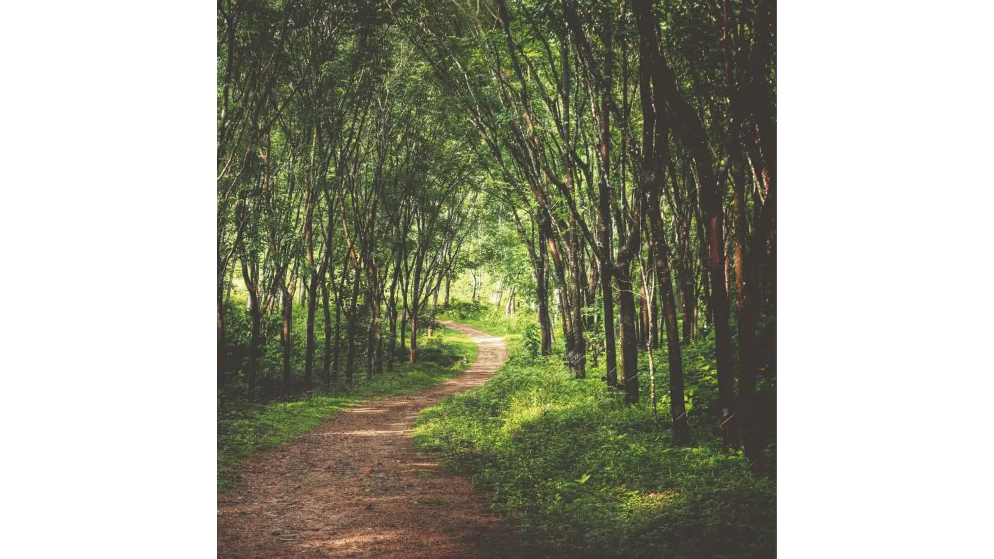 Rohan Harita Tathawade Pune Brochure.pdf