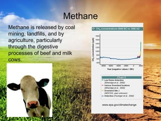 PPT FOR FOOD SECURITY | PPT