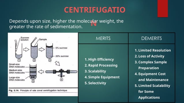 methods of purification of enzymes , ppt.x | PPT
