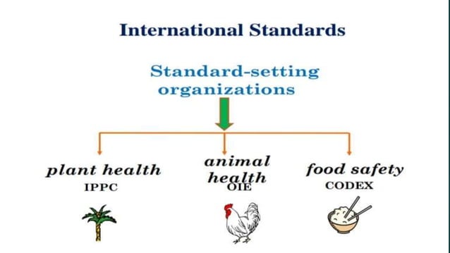 WTO- Principles of trading system, SPS and TBT, WTO agreement on ...