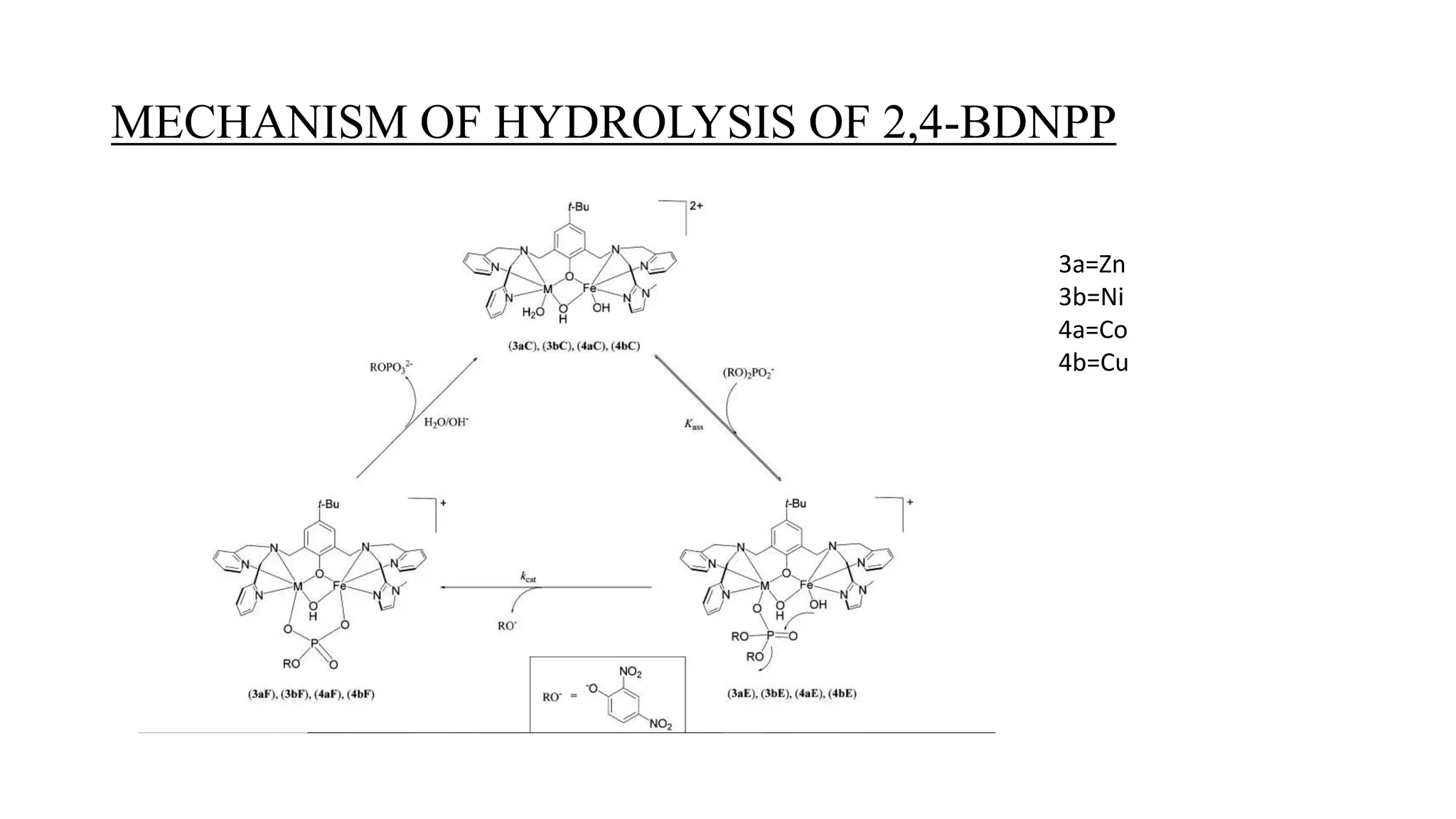 purple acid phosphatase enzymatic activity | PPTX | Chemistry | Science
