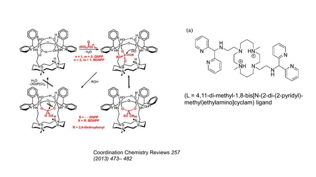 purple acid phosphatase enzymatic activity | PPTX | Chemistry | Science
