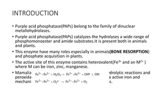purple acid phosphatase enzymatic activity | PPTX | Chemistry | Science