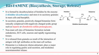 Histamine and Its Receptors (H1–H4): Physiology and Therapeutic ...