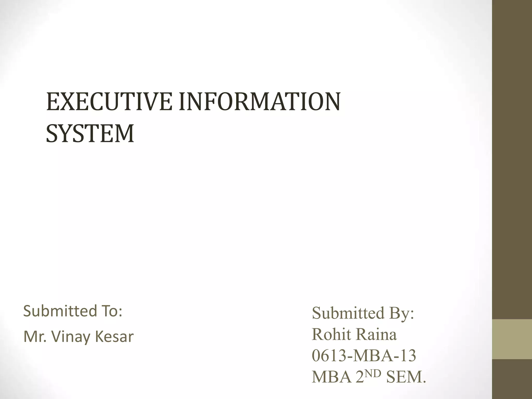 MIS-executive information system | PPT