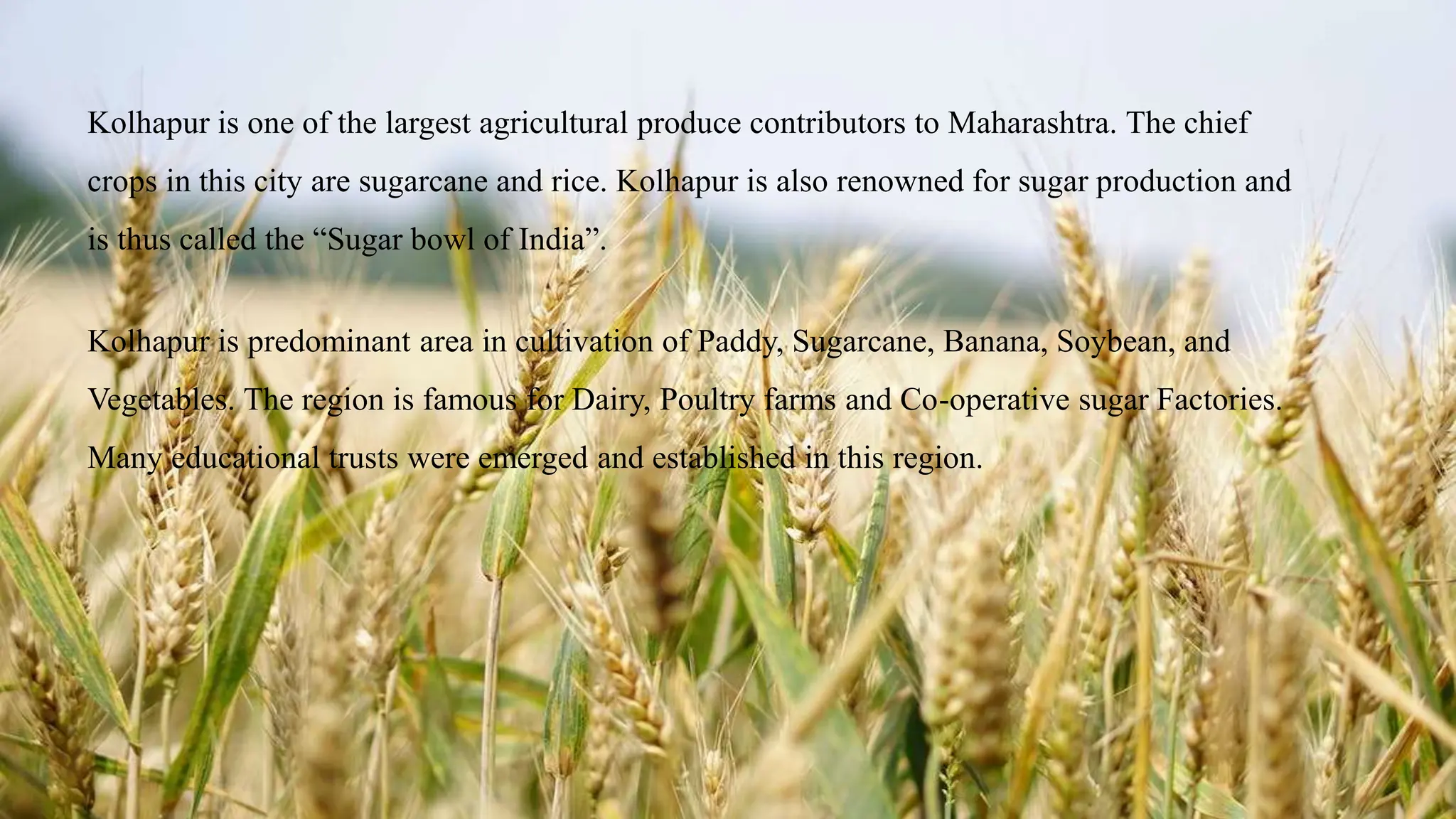 Rohit Roll no 72 Employeebility skilled.pptx