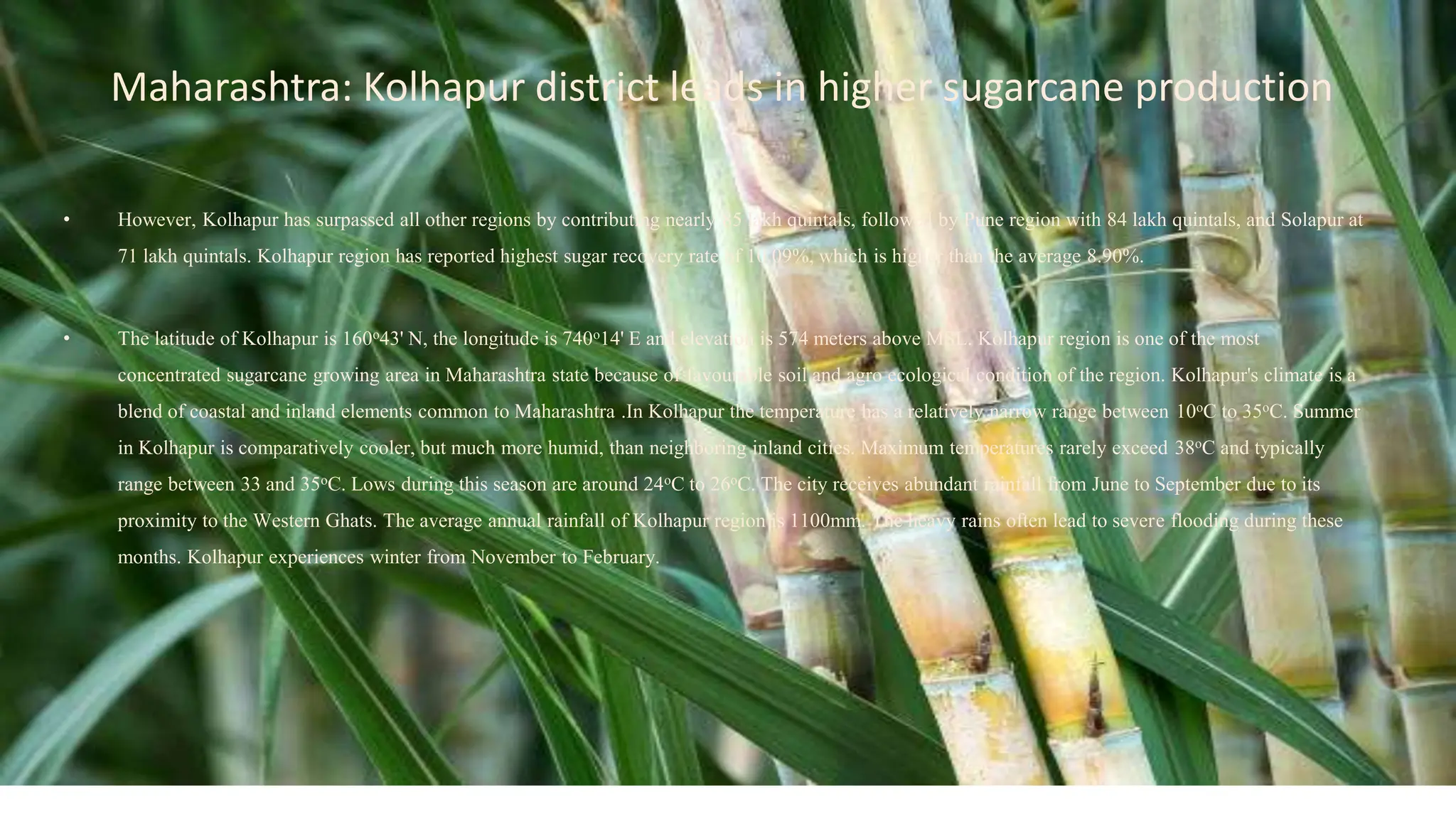 Rohit Roll no 72 Employeebility skilled.pptx