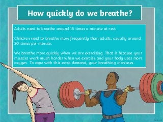roi-sc-260-breathing-and-the-lungs-powerpoint_ver_6.pptx