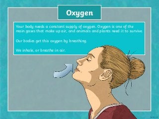 roi-sc-260-breathing-and-the-lungs-powerpoint_ver_6.pptx