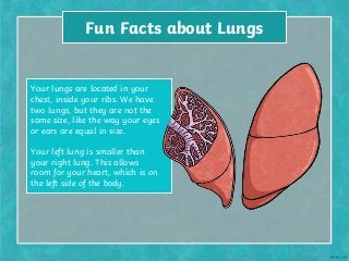 roi-sc-260-breathing-and-the-lungs-powerpoint_ver_6.pptx