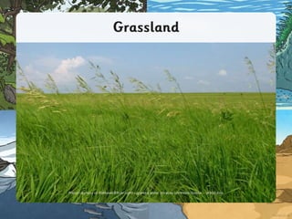 Roi2 g-044-biodiversity-information-powerpoint | PPT