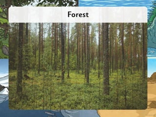 Roi2 g-044-biodiversity-information-powerpoint | PPT