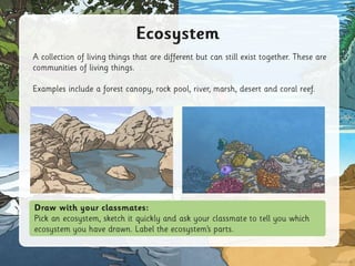 Roi2 g-044-biodiversity-information-powerpoint | PPT