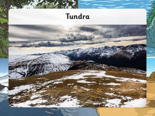 Roi2 g-044-biodiversity-information-powerpoint | PPT