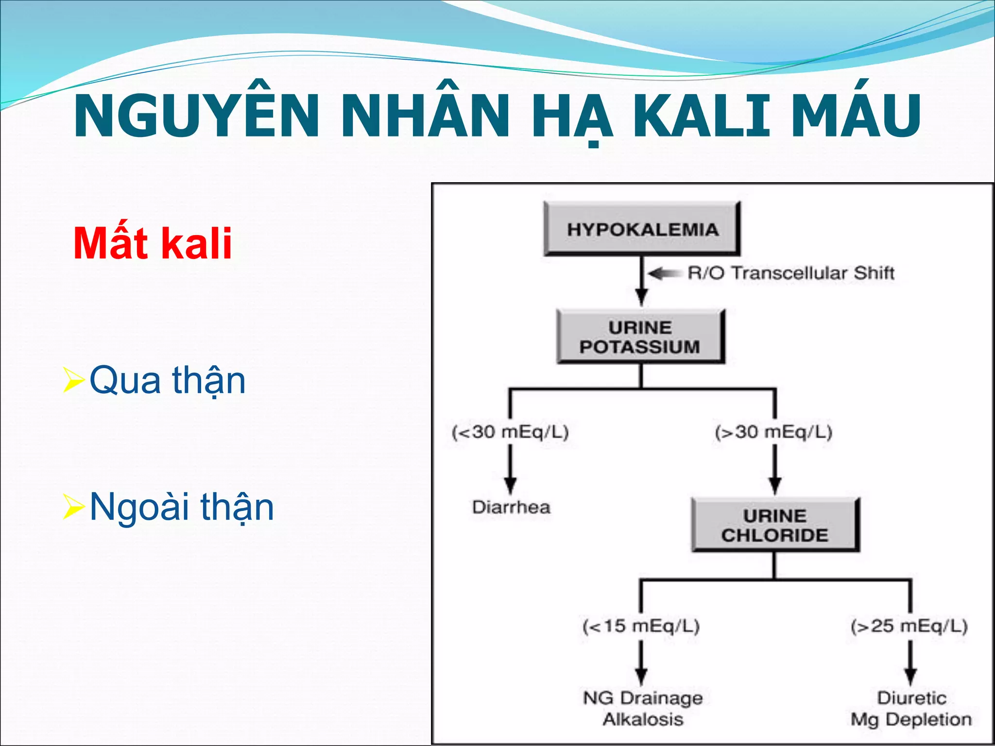 Rối Loan Kali máu- ThS_BS_ Tu.pdf
