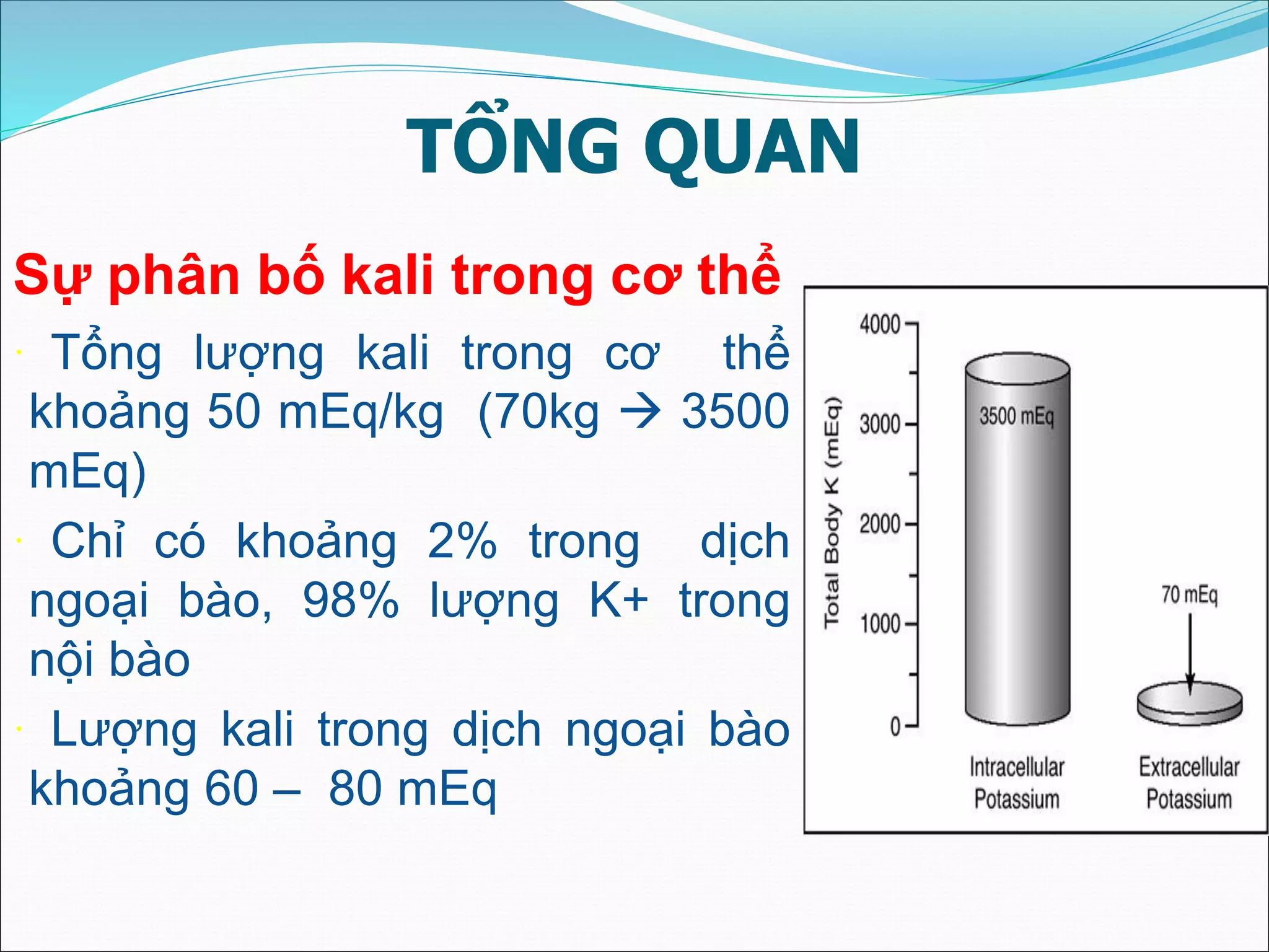 Rối Loan Kali máu- ThS_BS_ Tu.pdf