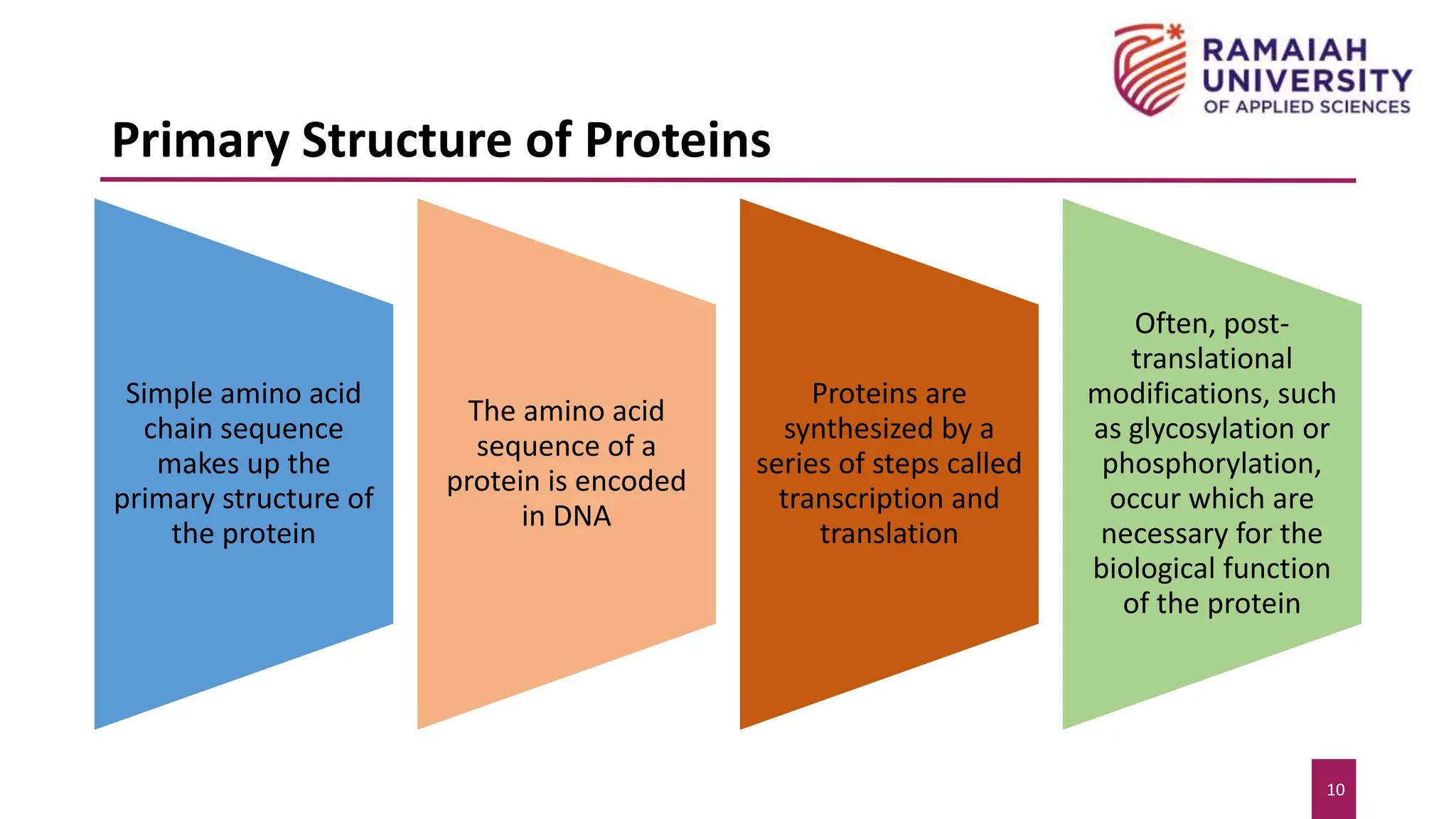 LEVELS OF PROTEIN STRUCTURE, DOMAINS, MOTIFS, AND FOLDS IN PROTEIN ...