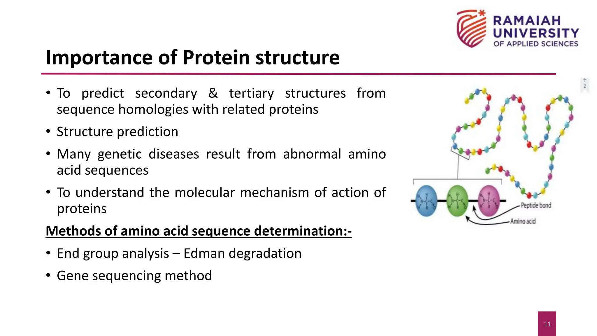 LEVELS OF PROTEIN STRUCTURE, DOMAINS, MOTIFS, AND FOLDS IN PROTEIN ...