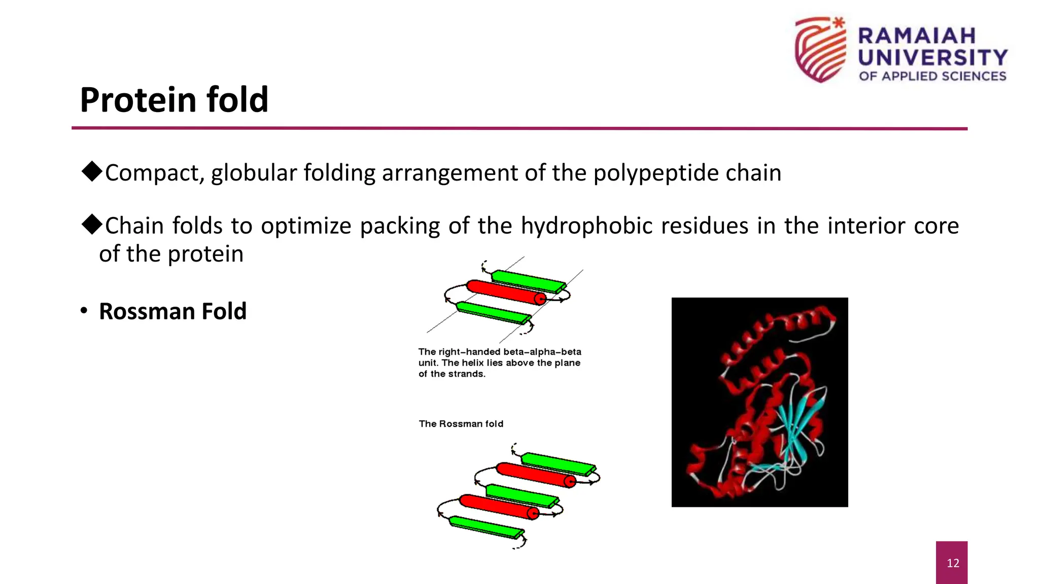 Levels Of Protein Structure Domains Motifs And Folds In Protein Structure Pptx Chemistry