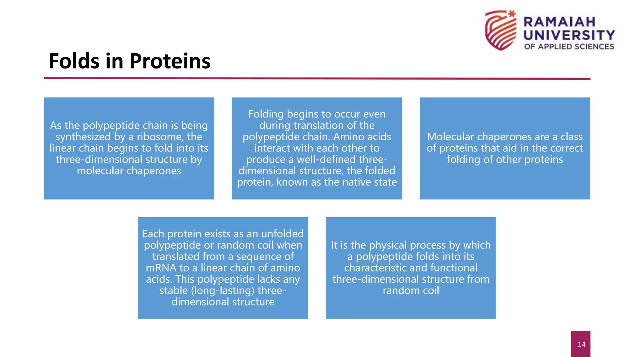 LEVELS OF PROTEIN STRUCTURE, DOMAINS, MOTIFS, AND FOLDS IN PROTEIN ...