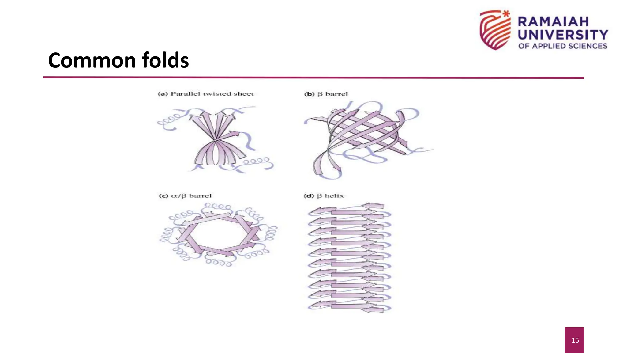 LEVELS OF PROTEIN STRUCTURE, DOMAINS, MOTIFS, AND FOLDS IN PROTEIN ...
