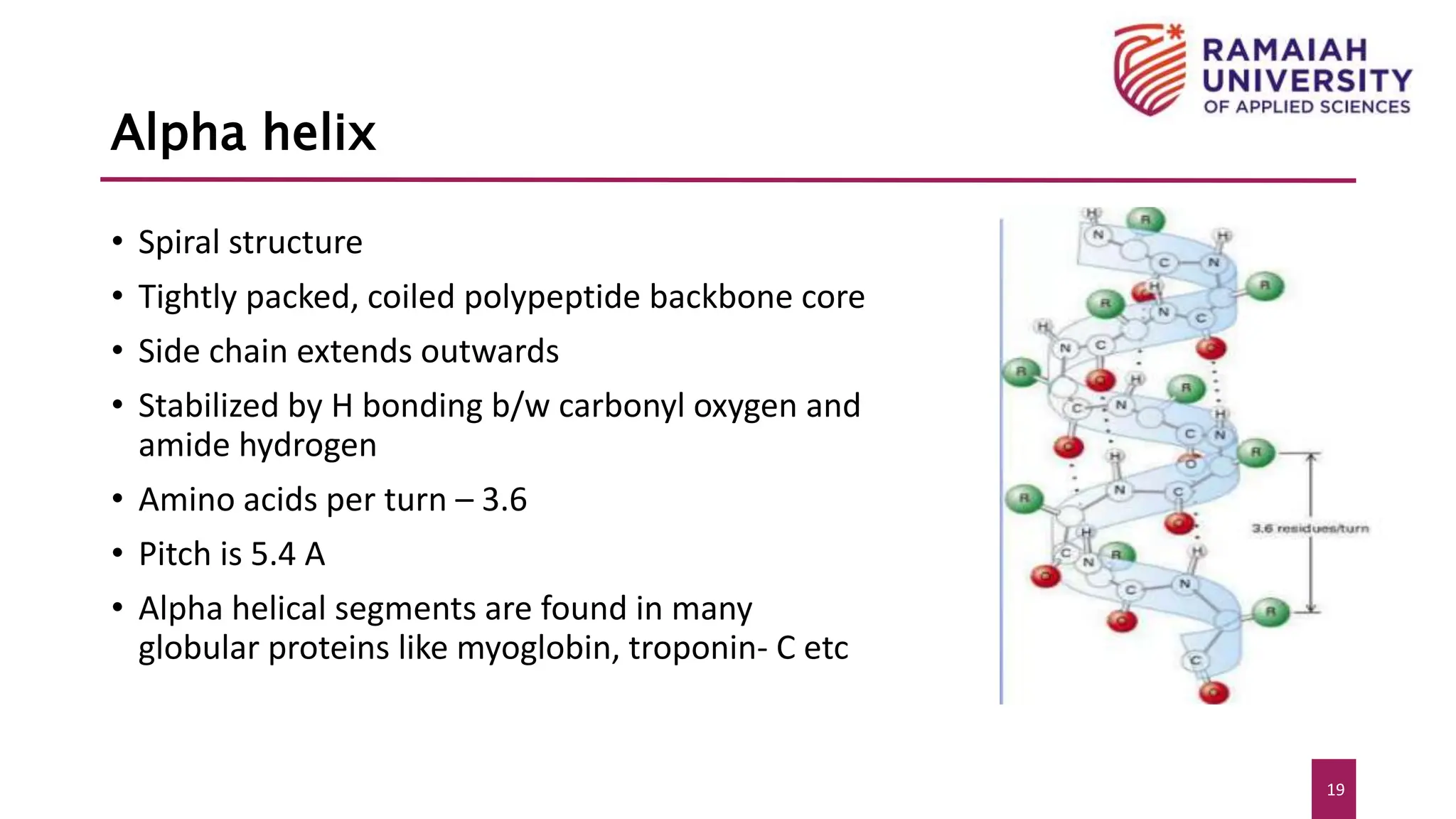 LEVELS OF PROTEIN STRUCTURE, DOMAINS, MOTIFS, AND FOLDS IN PROTEIN ...