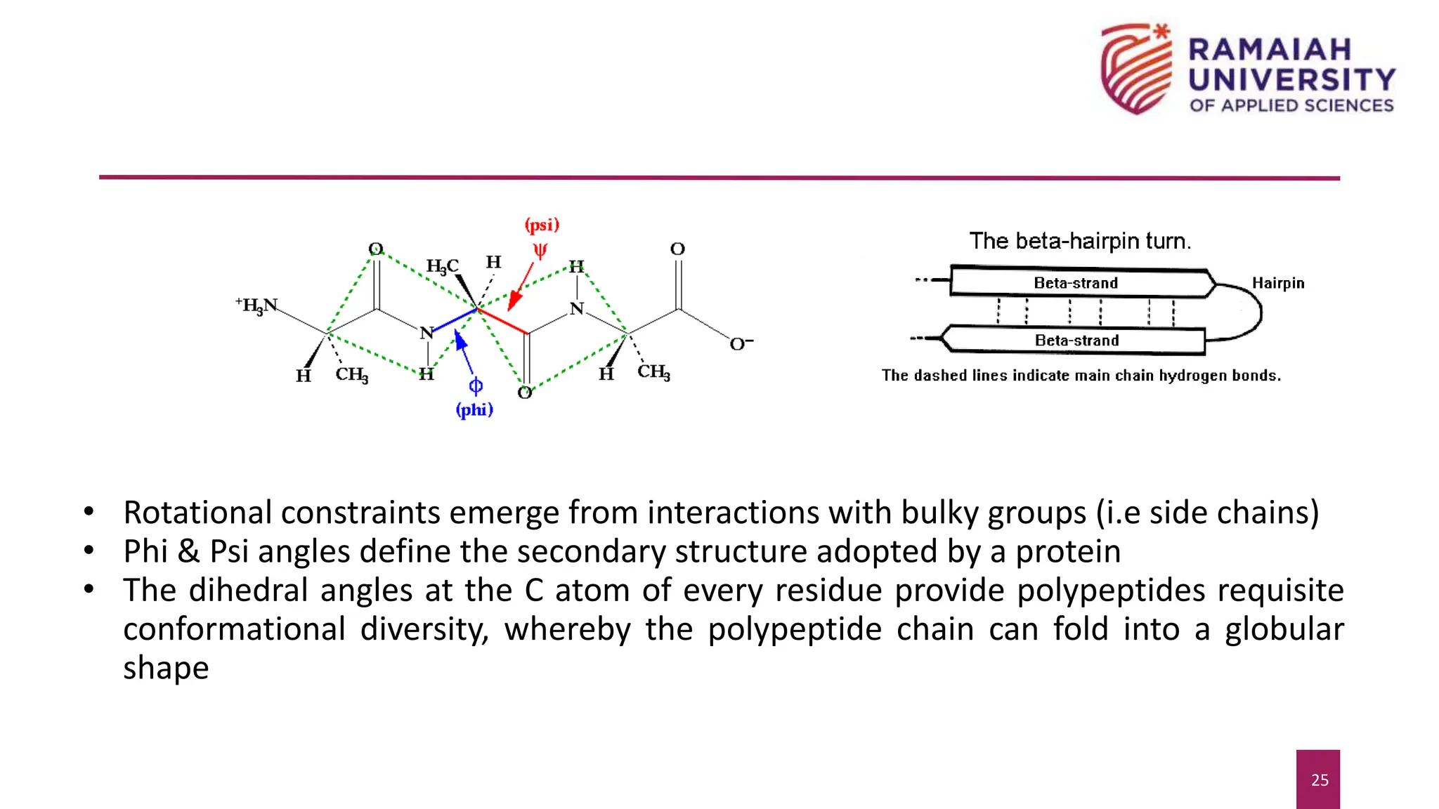 LEVELS OF PROTEIN STRUCTURE, DOMAINS, MOTIFS, AND FOLDS IN PROTEIN ...