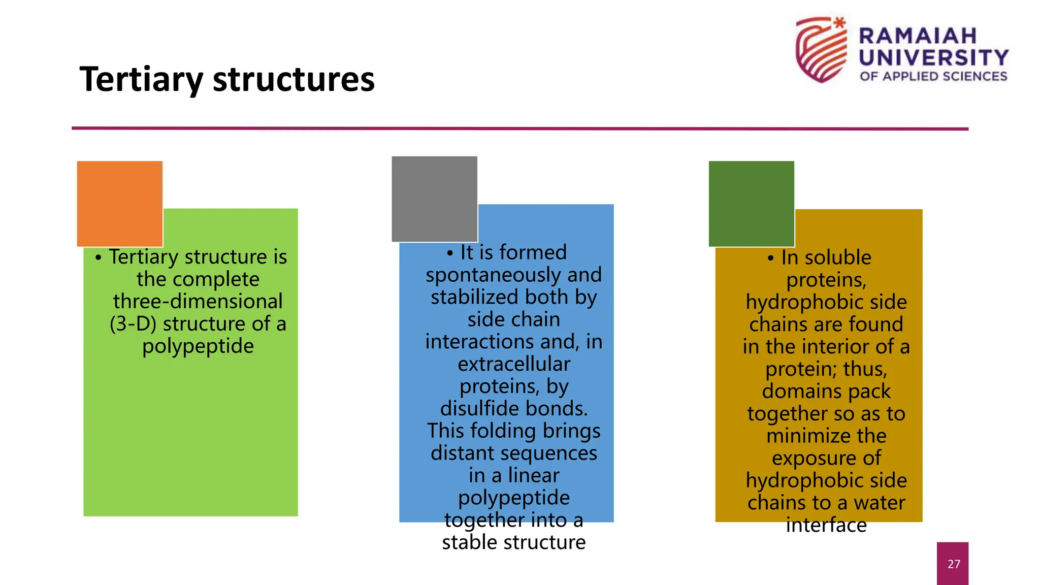 LEVELS OF PROTEIN STRUCTURE, DOMAINS, MOTIFS, AND FOLDS IN PROTEIN ...