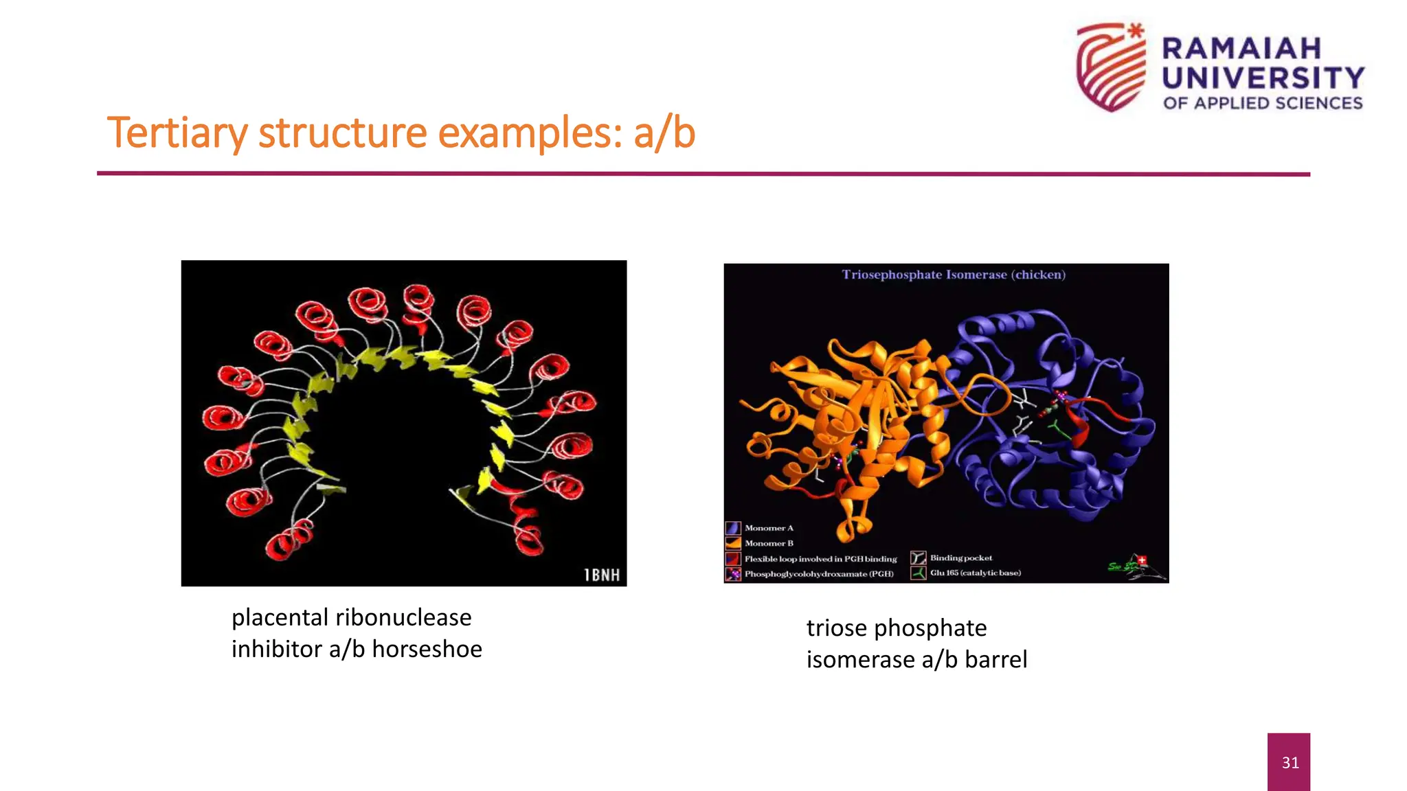 LEVELS OF PROTEIN STRUCTURE, DOMAINS, MOTIFS, AND FOLDS IN PROTEIN ...