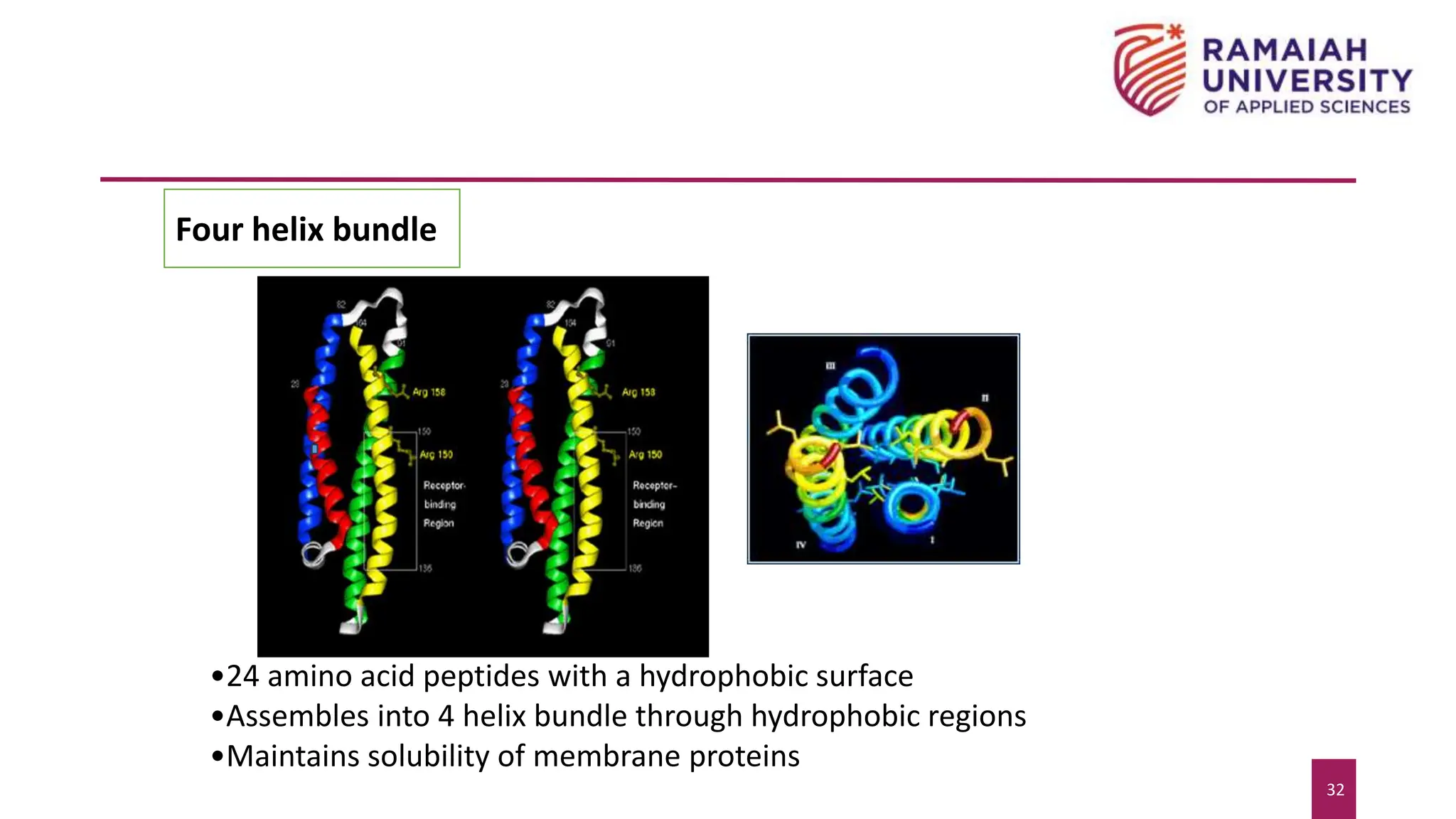 LEVELS OF PROTEIN STRUCTURE, DOMAINS, MOTIFS, AND FOLDS IN PROTEIN ...