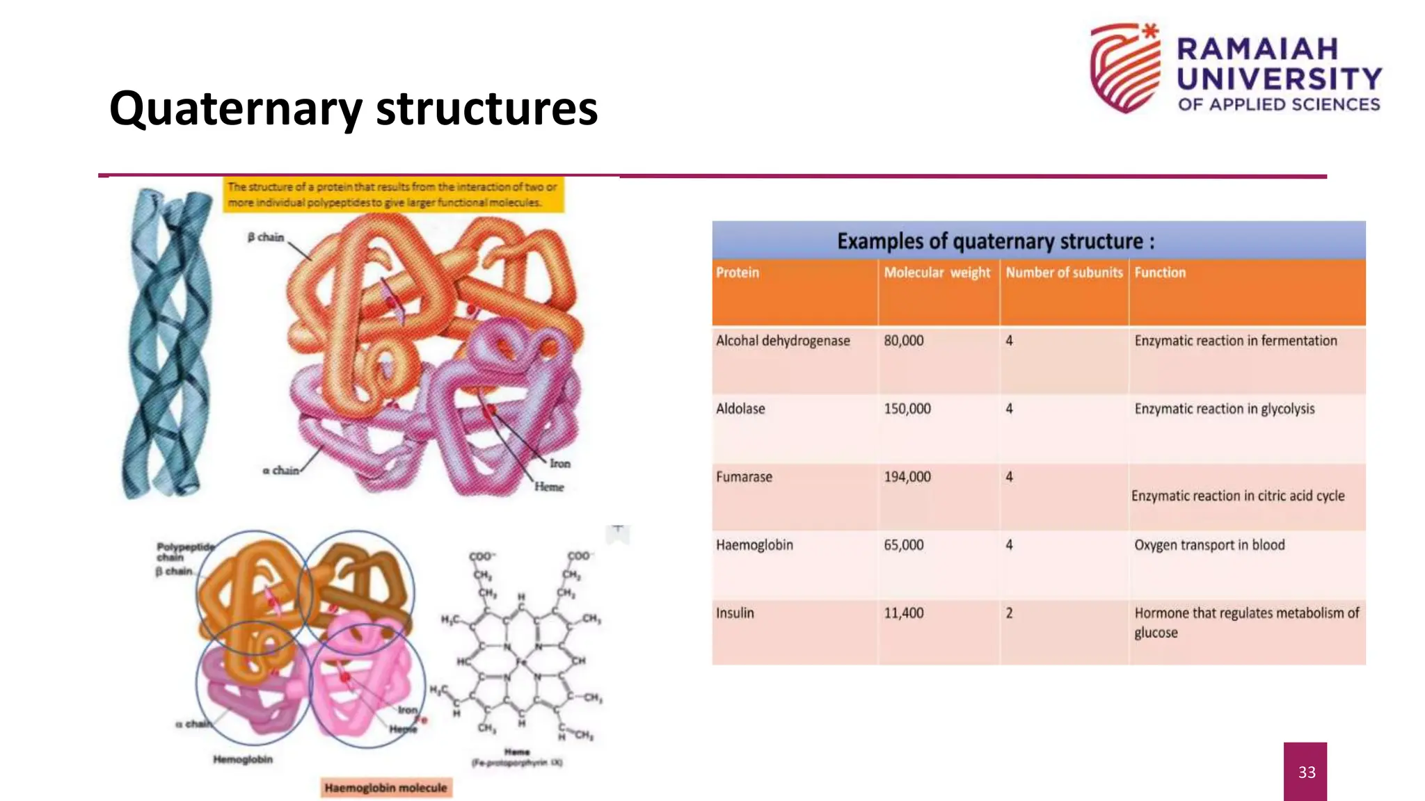 LEVELS OF PROTEIN STRUCTURE, DOMAINS, MOTIFS, AND FOLDS IN PROTEIN ...