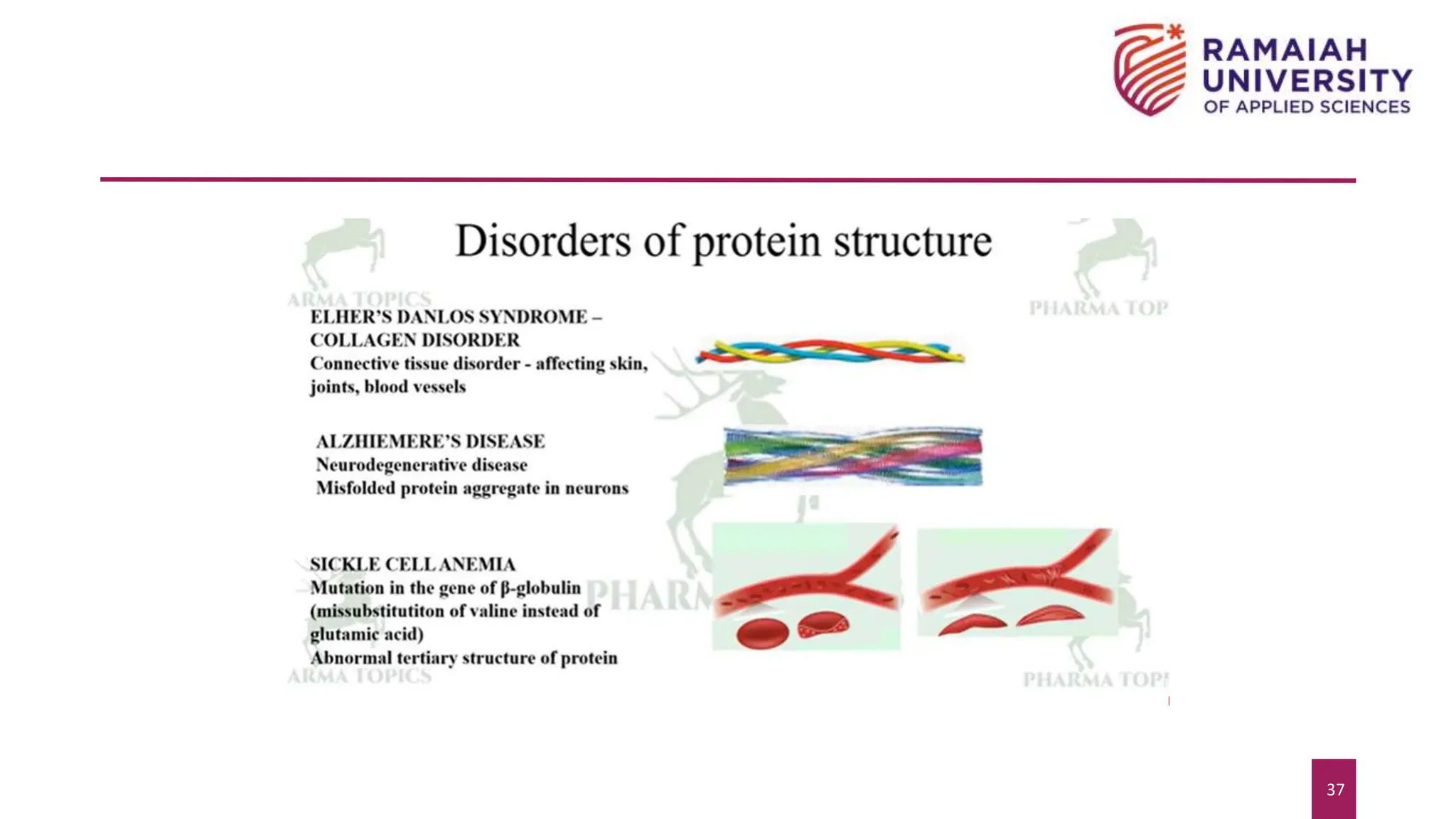 LEVELS OF PROTEIN STRUCTURE, DOMAINS, MOTIFS, AND FOLDS IN PROTEIN ...