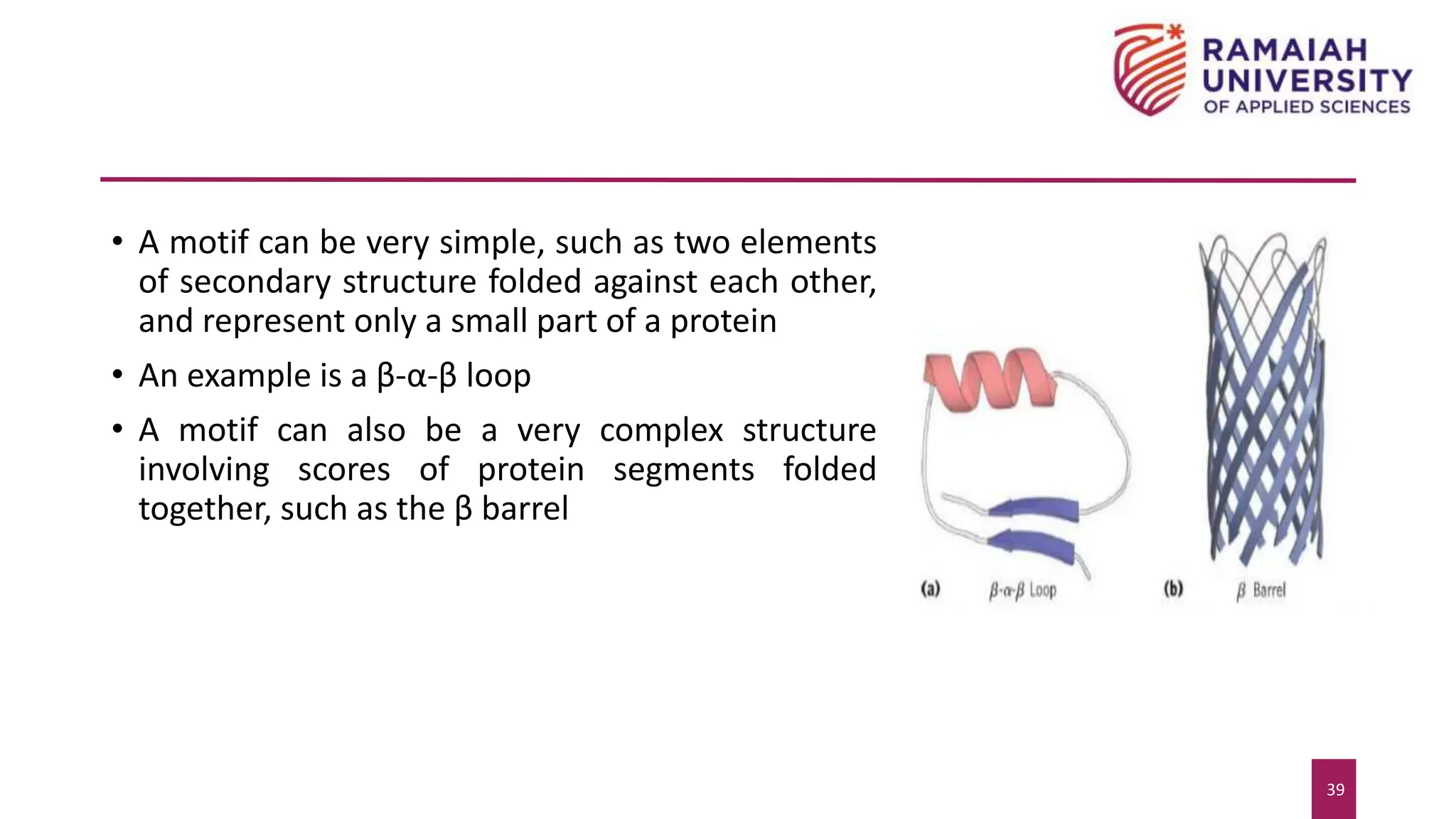 LEVELS OF PROTEIN STRUCTURE, DOMAINS, MOTIFS, AND FOLDS IN PROTEIN ...