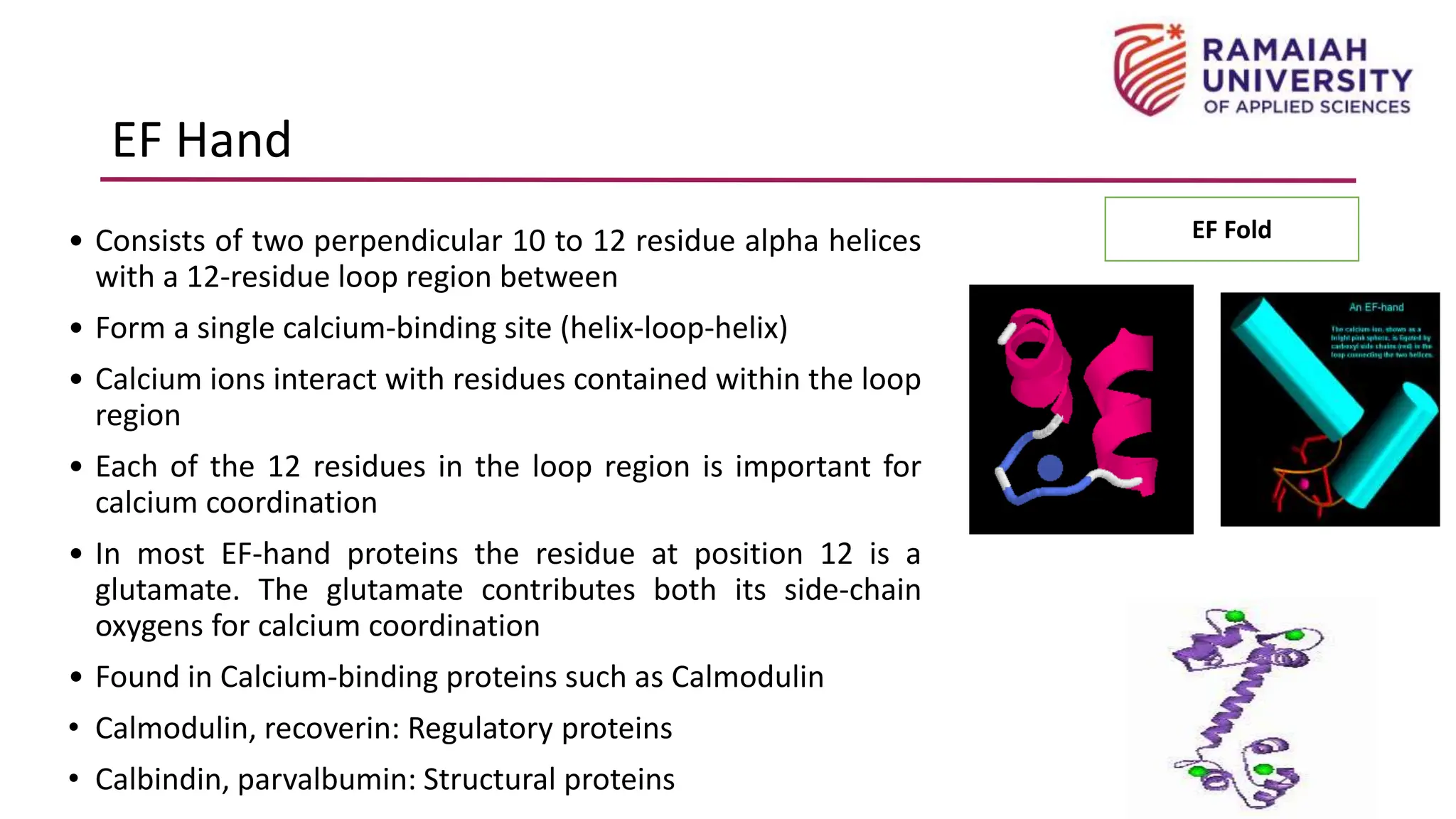 LEVELS OF PROTEIN STRUCTURE, DOMAINS, MOTIFS, AND FOLDS IN PROTEIN ...
