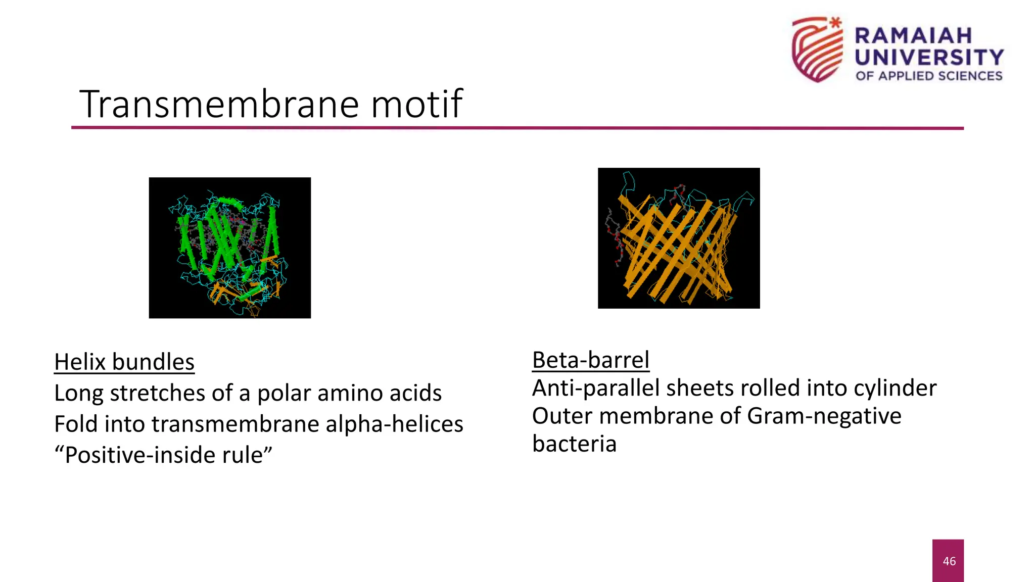 LEVELS OF PROTEIN STRUCTURE, DOMAINS, MOTIFS, AND FOLDS IN PROTEIN ...