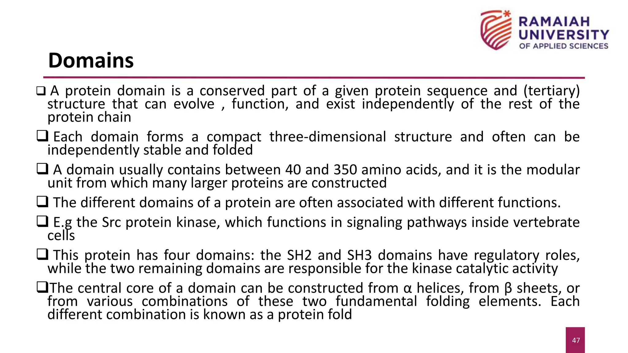 LEVELS OF PROTEIN STRUCTURE, DOMAINS, MOTIFS, AND FOLDS IN PROTEIN ...