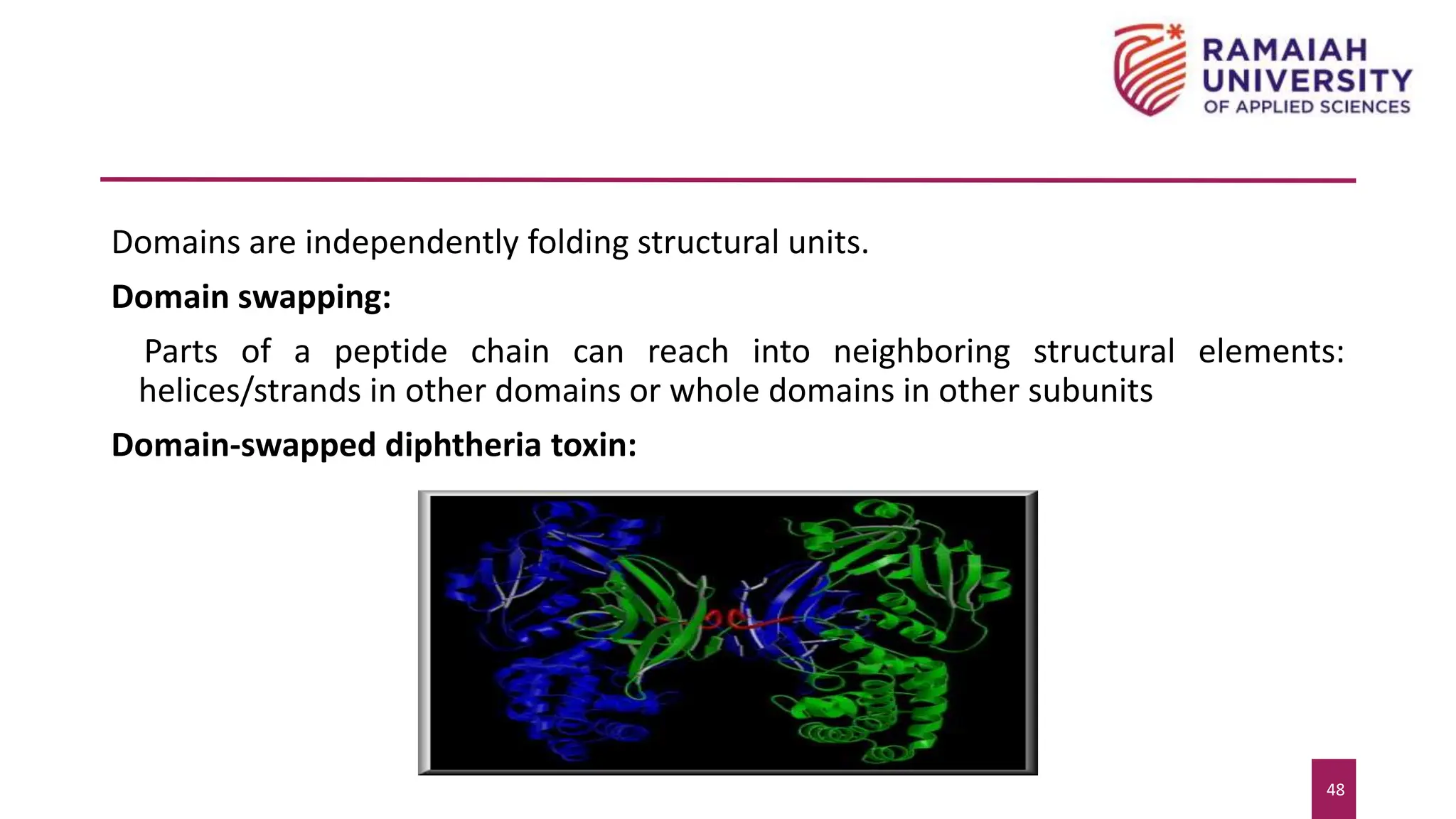 LEVELS OF PROTEIN STRUCTURE, DOMAINS, MOTIFS, AND FOLDS IN PROTEIN STRUCTURE | PPTX