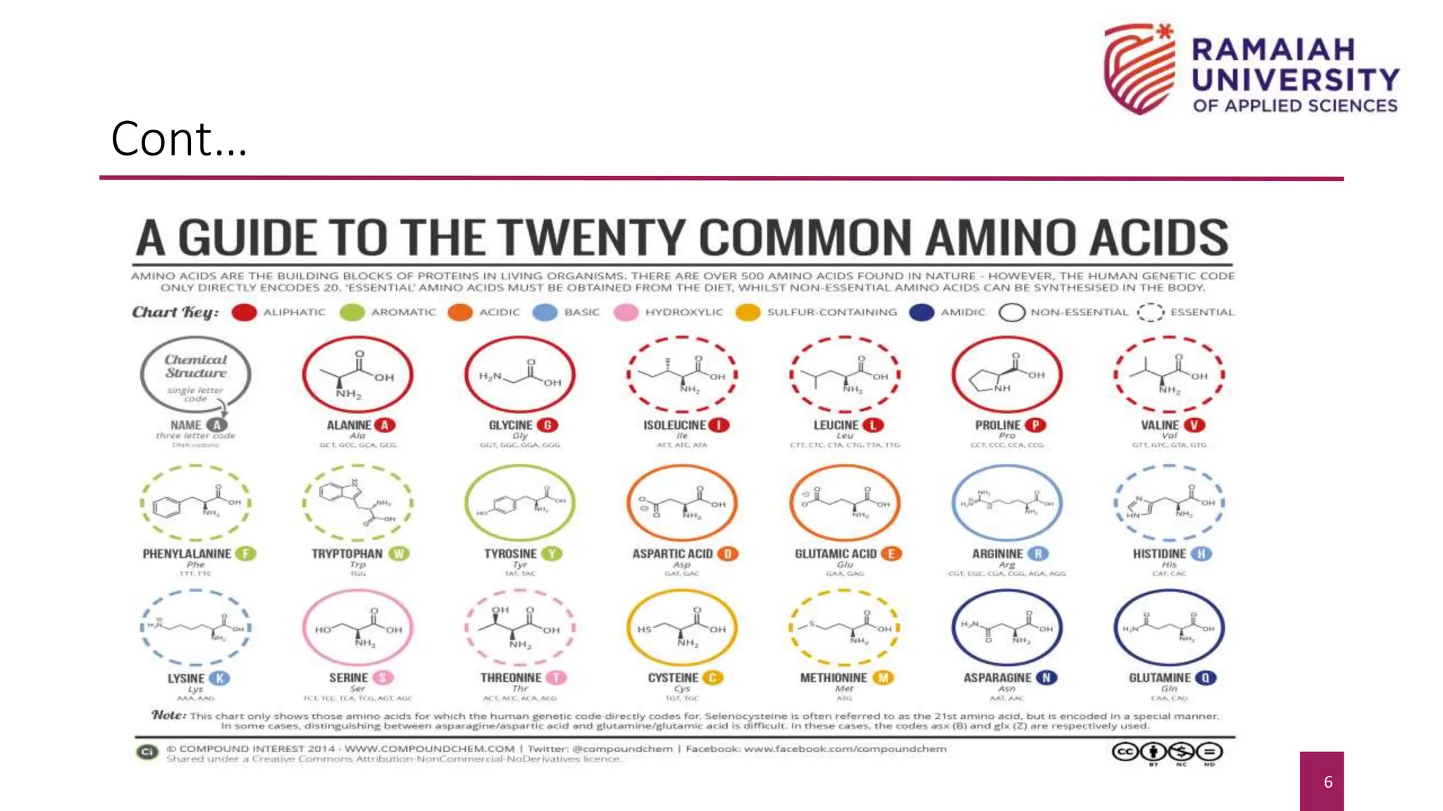LEVELS OF PROTEIN STRUCTURE, DOMAINS, MOTIFS, AND FOLDS IN PROTEIN ...